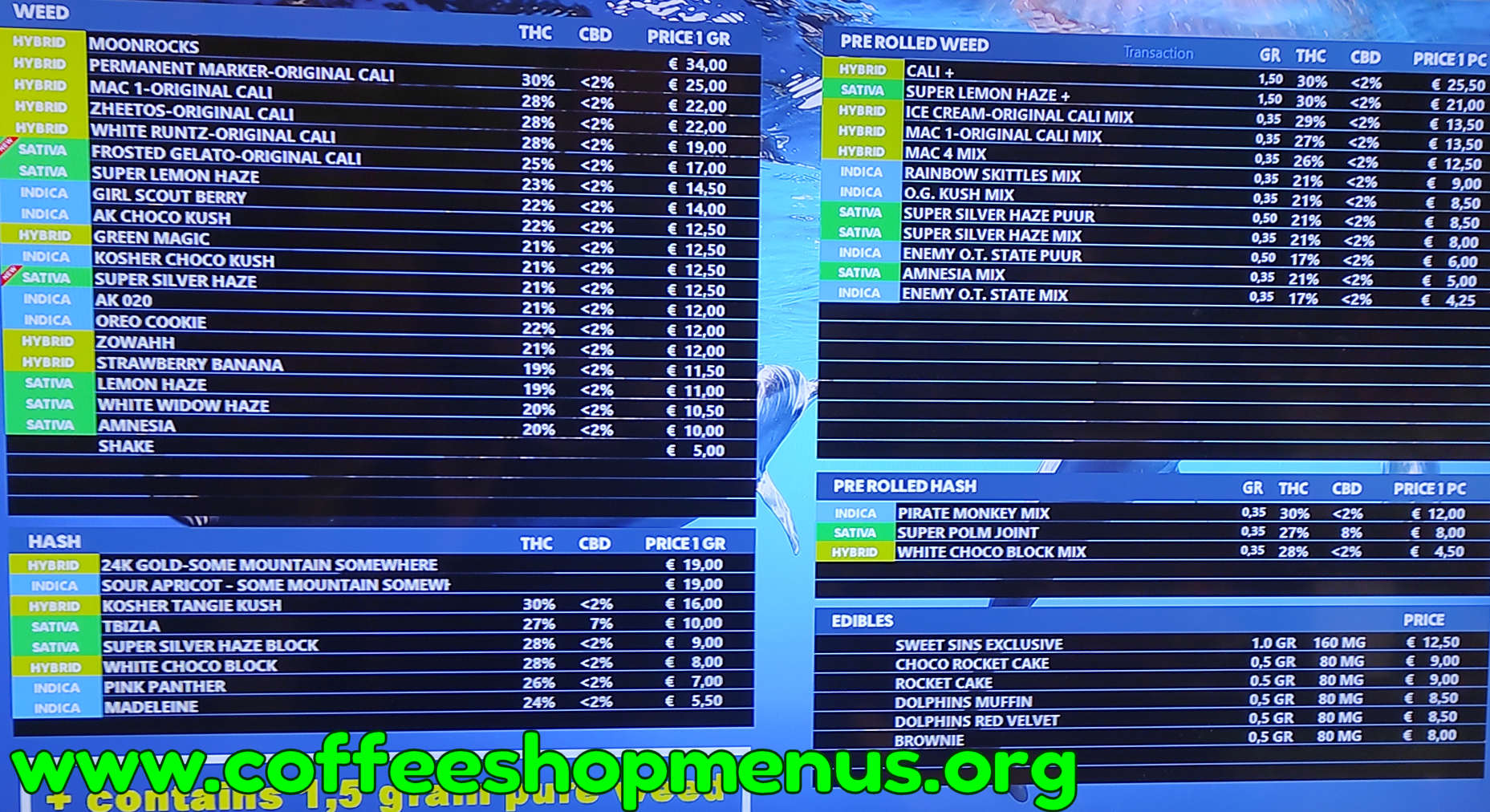 Dolphins Menus archive - coffeeshopmenus.org